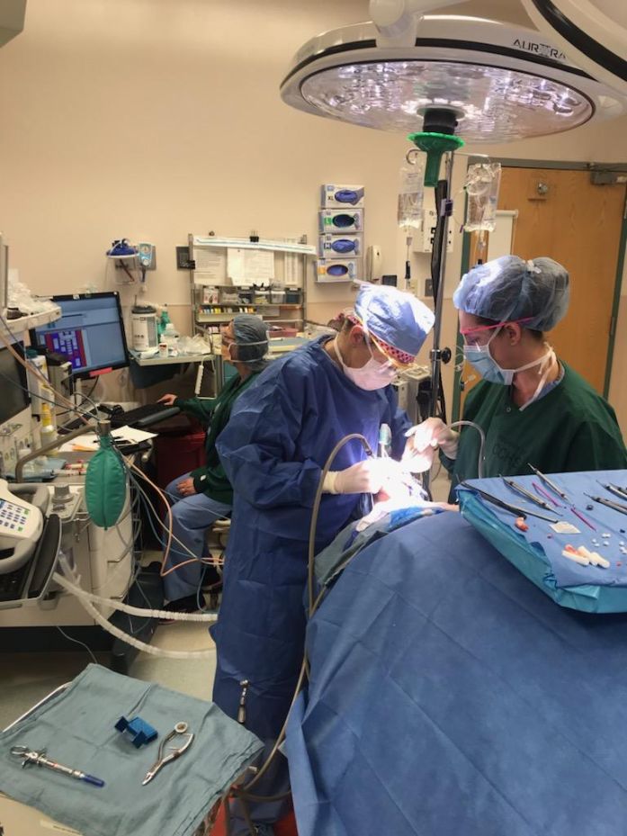 Pediatric Hospital Dentistry - Collins Dental & Orthodontics | Newark DE